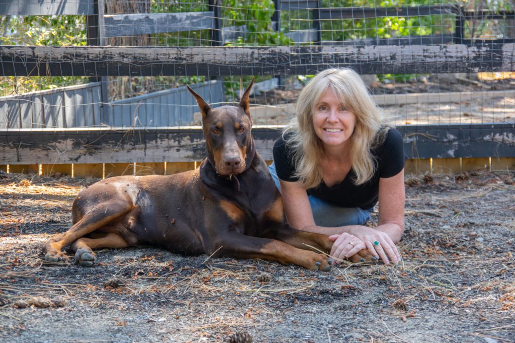 About Catherine | Dog Trainer From Kelowna To Summerland